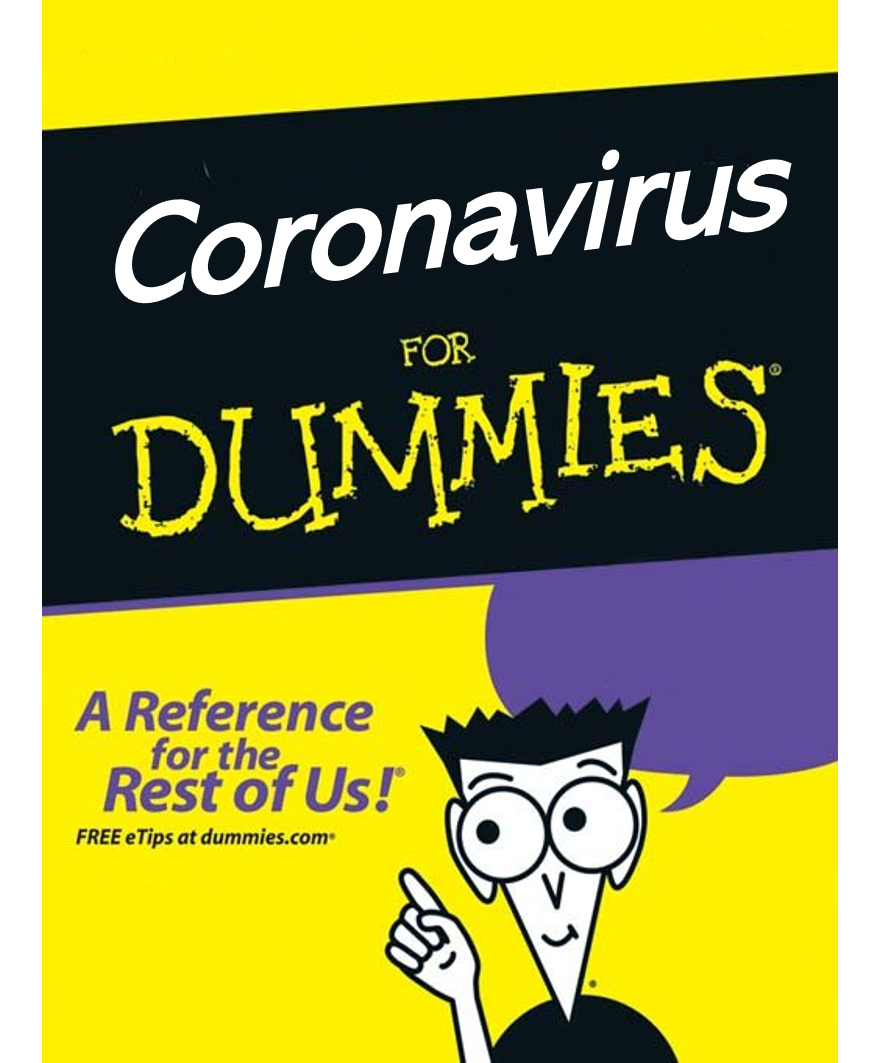 Coronavirus for Dummies – Nobody asked me…